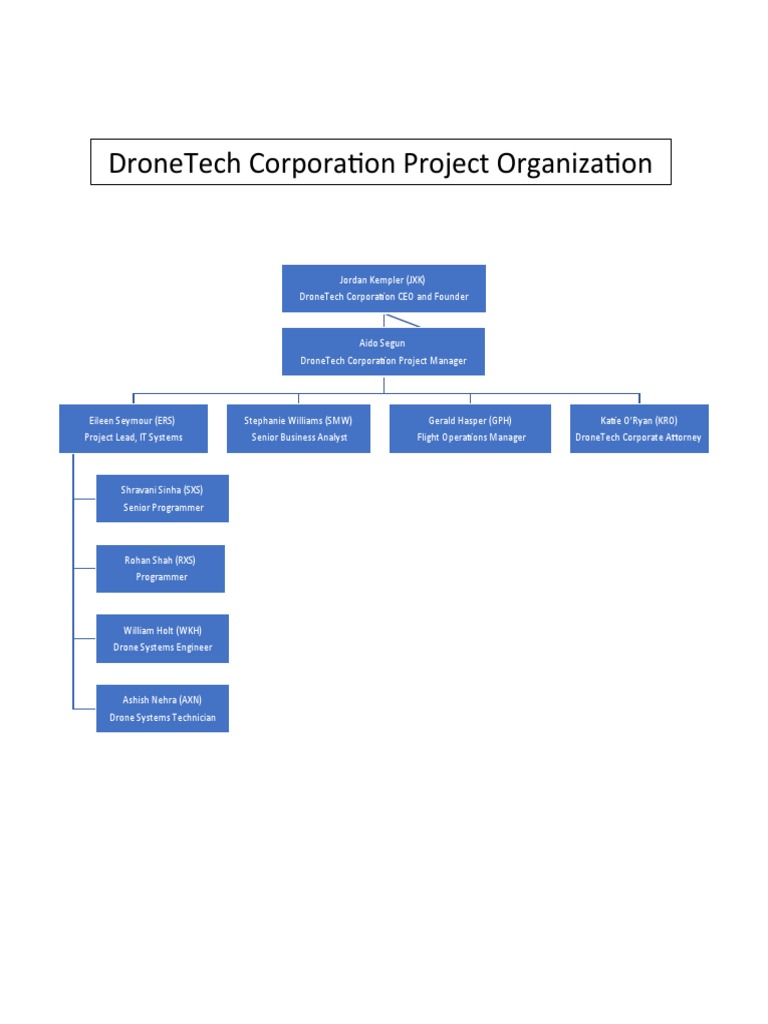 Wilmont's Pharmacy Organization Chart and DroneTech Engineering Organization Chart | PDF