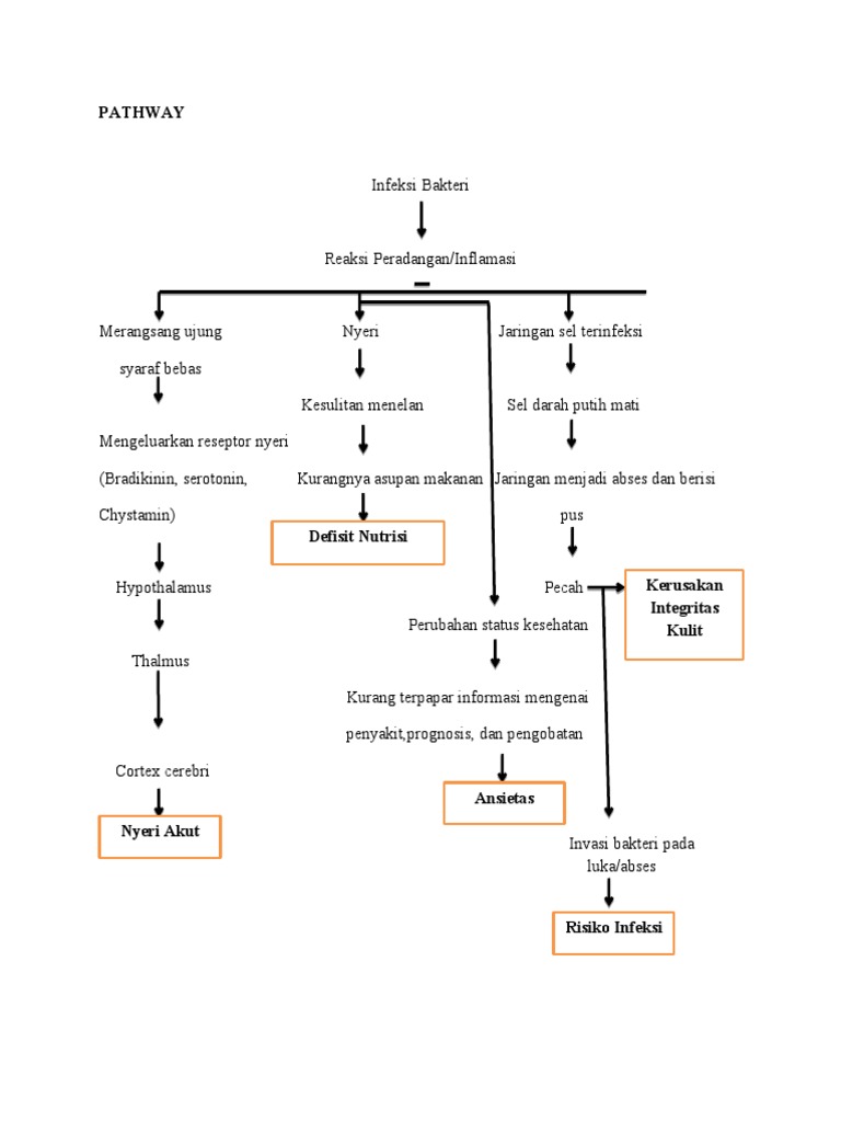 Pathway Infeksi dan Abses Bakteri | PDF