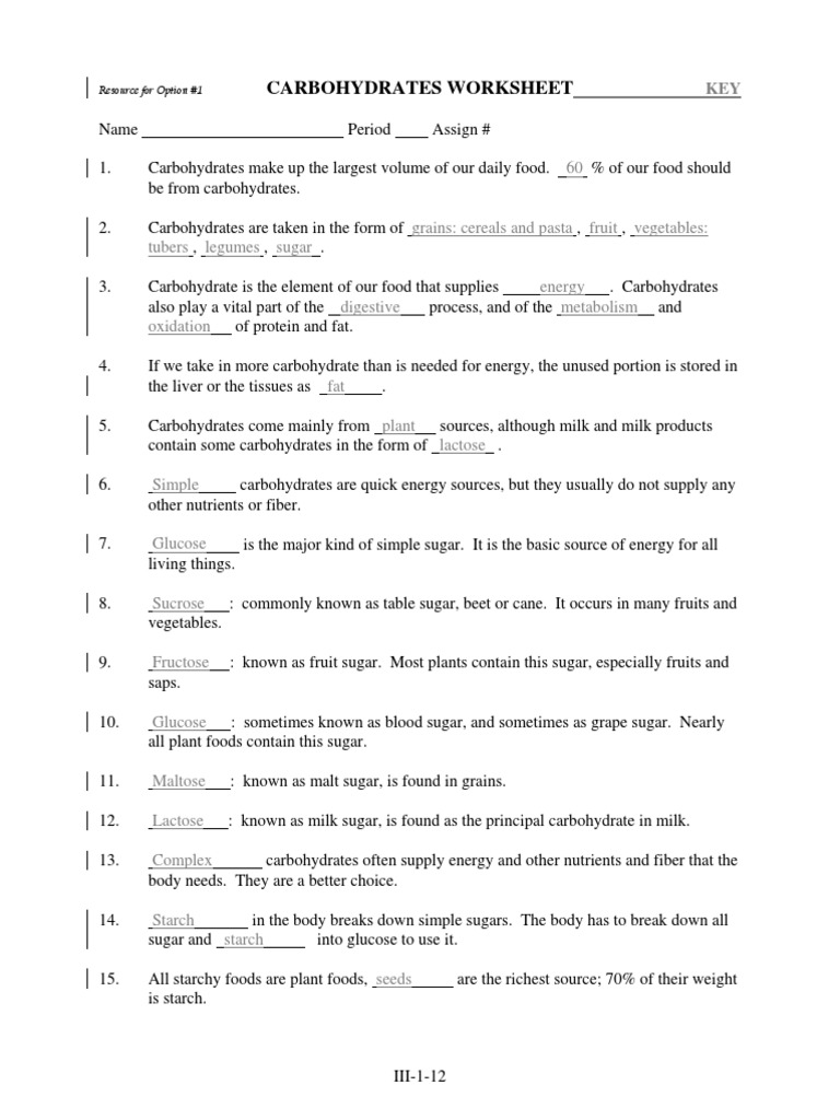 Carbohydrates Worksheet Key | PDF