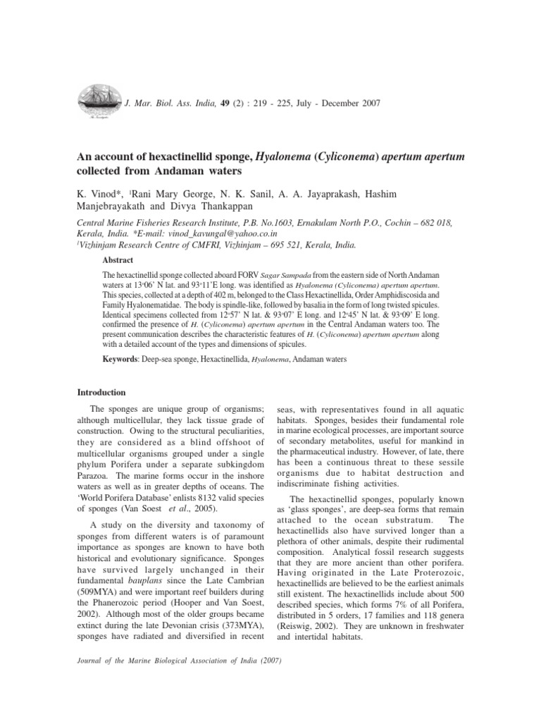 Hyalonema | PDF | Sponge | Organisms