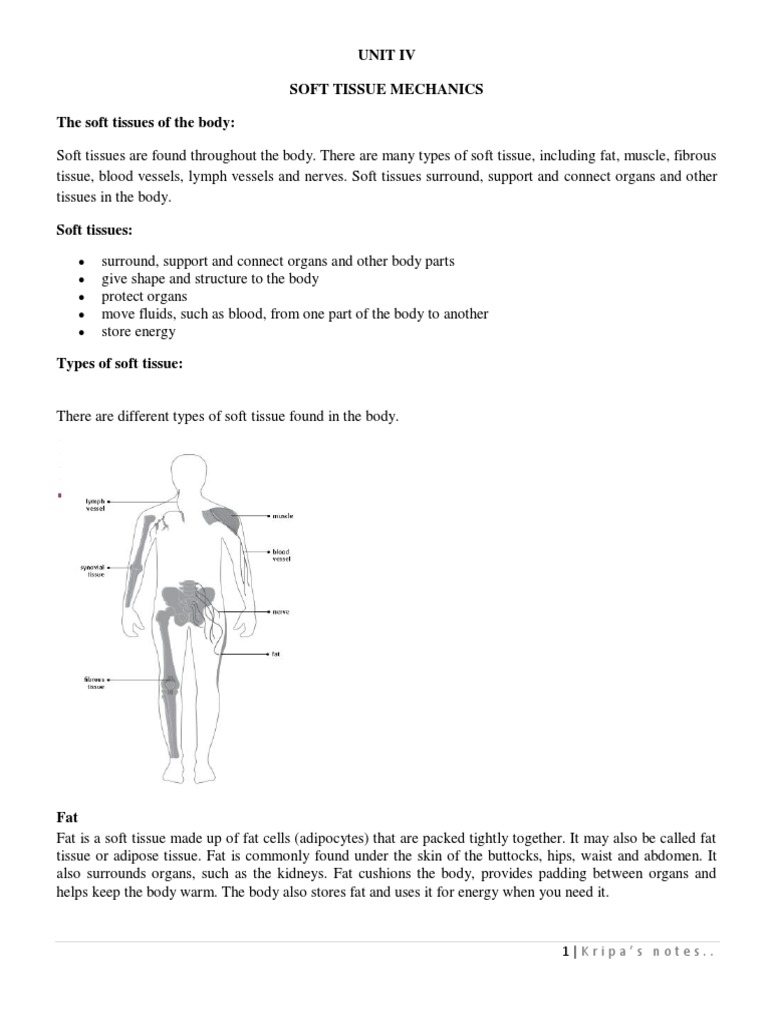 Unit Iv Soft Tissue Mechanics The Soft Tissues of The Body:: Kripa's ...