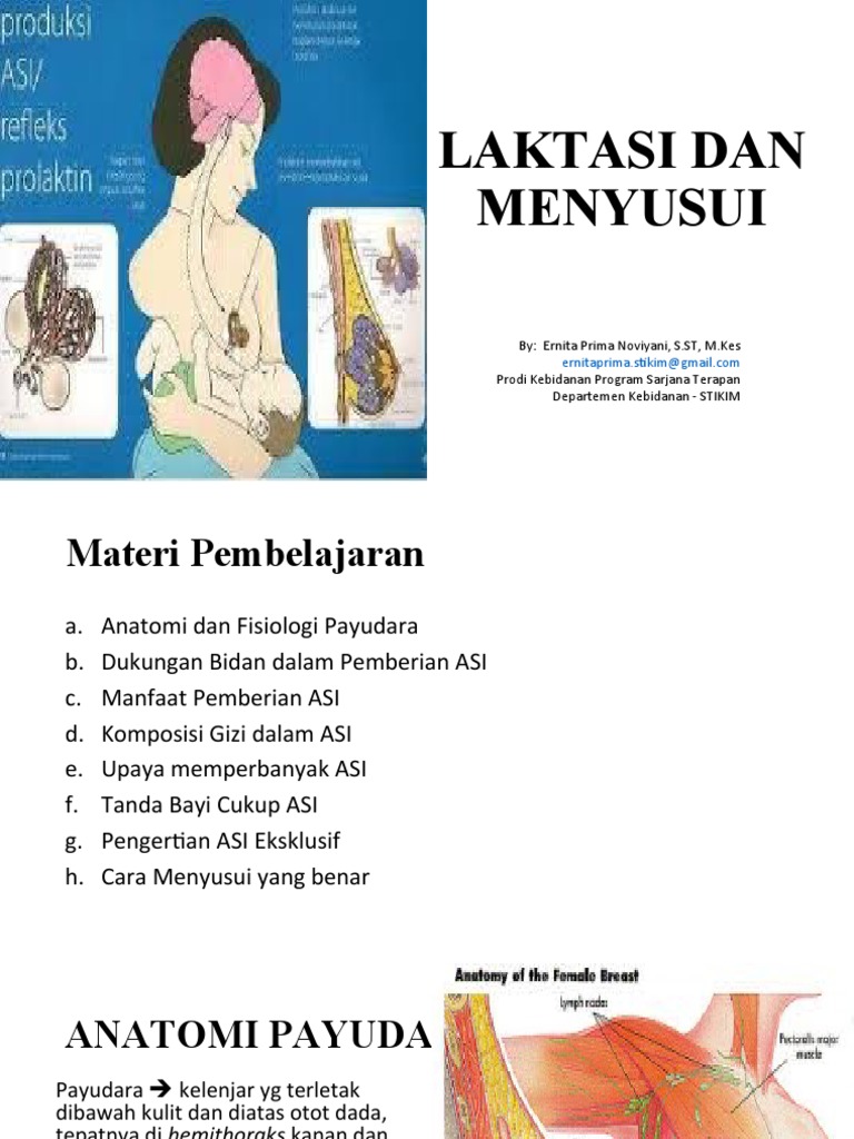 Fisiologi & Manj. Laktasi | PDF | Kesehatan Holistik | Sains & Matematika
