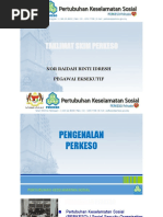 Perkeso Borang Lampiran A | PDF | Bisnis | Hukum