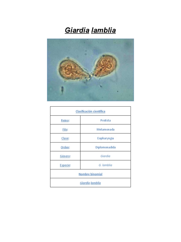 Giardia Lamblia | PDF | Microbiología | Enfermedades y trastornos