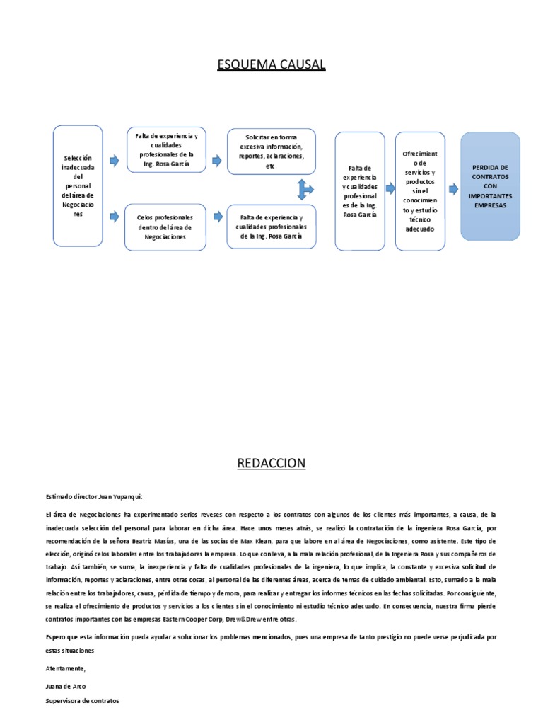 Esquema Causal | PDF | Business | Science