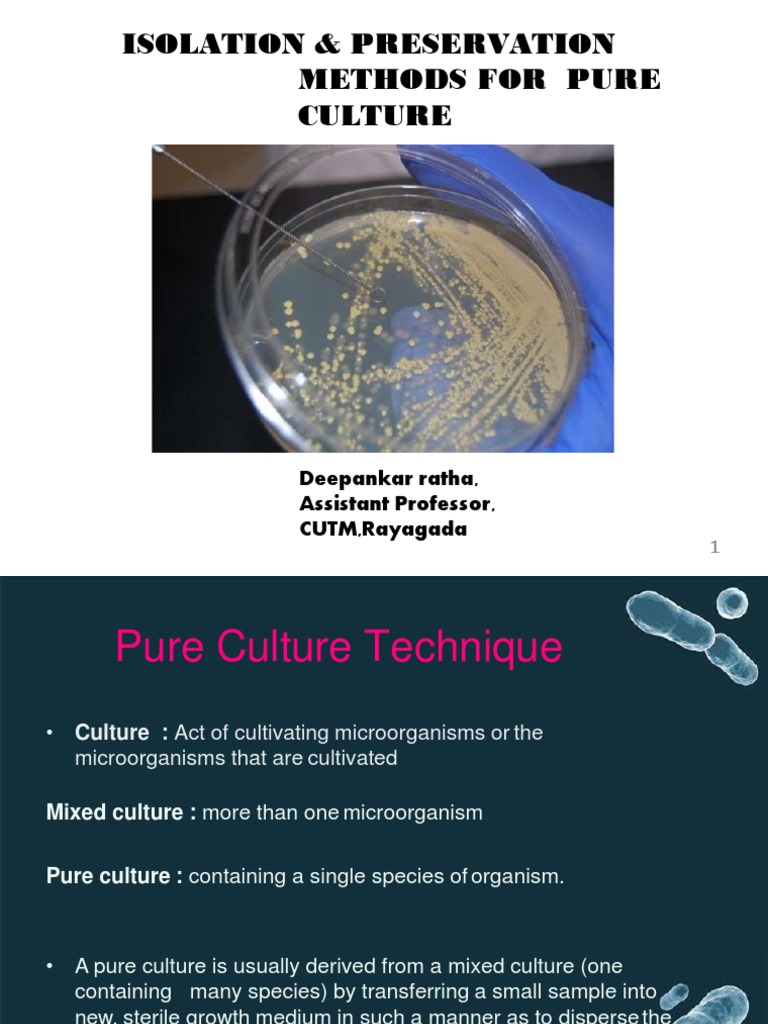 Methods for Isolating and Preserving Pure Microbial Cultures | PDF ...