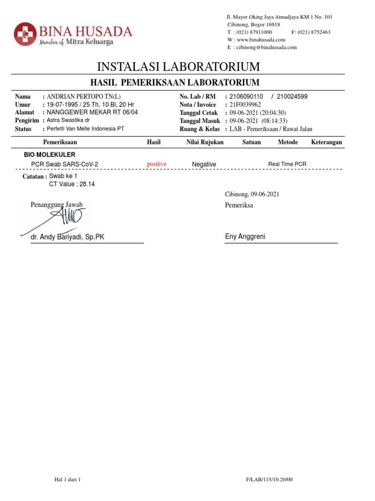 Andrian Pertopo TN | PDF