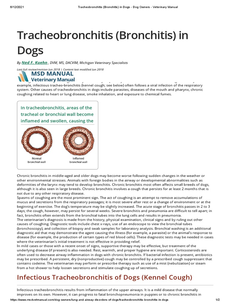 Tracheobronchitis (Bronchitis) in Dogs - Dog Owners - Veterinary Manual ...