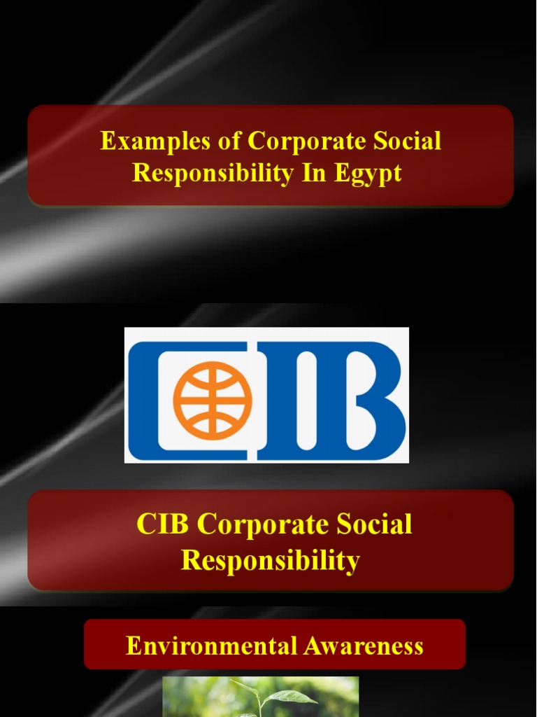 Examples of Corporate Social Responsibility in Egypt Examples of ...