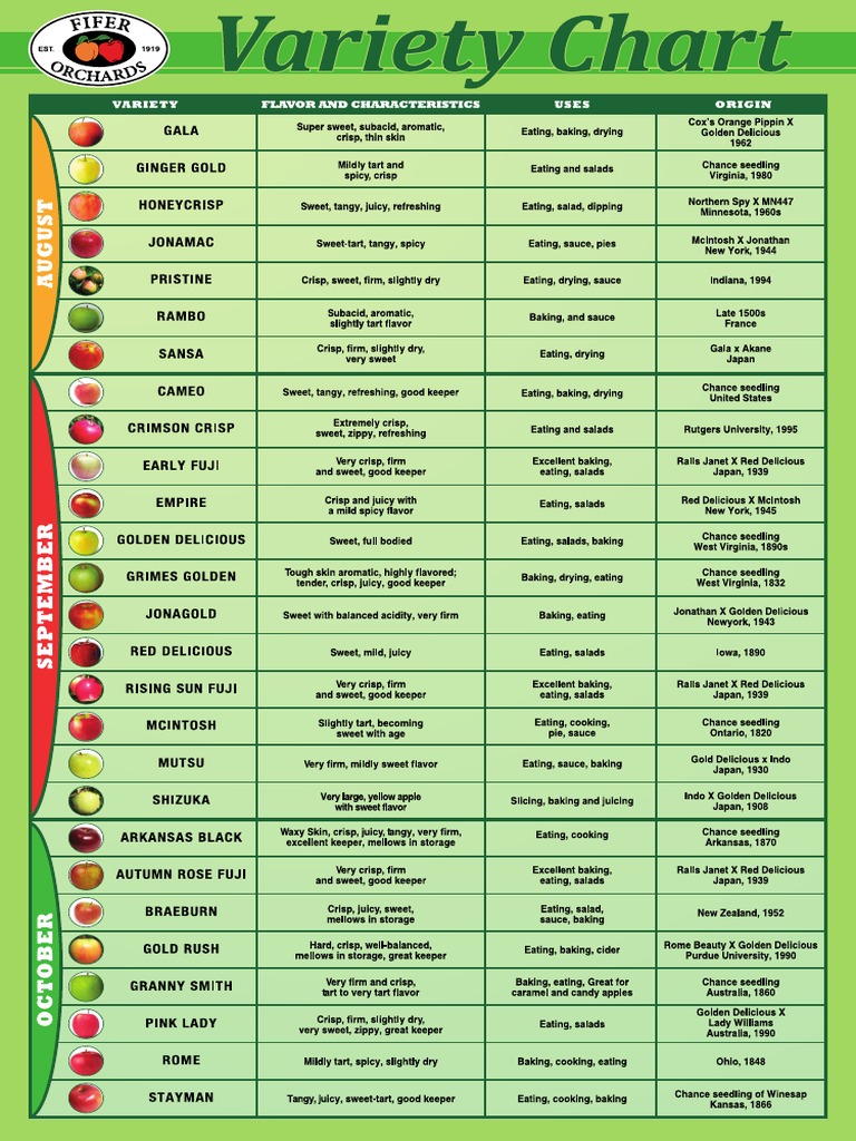 3 Apple Variety Chart PDF | PDF