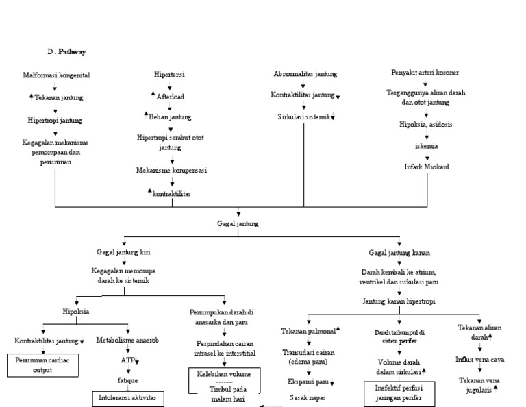 Pathway Gagal Jantung dan Patofisiologi | PDF