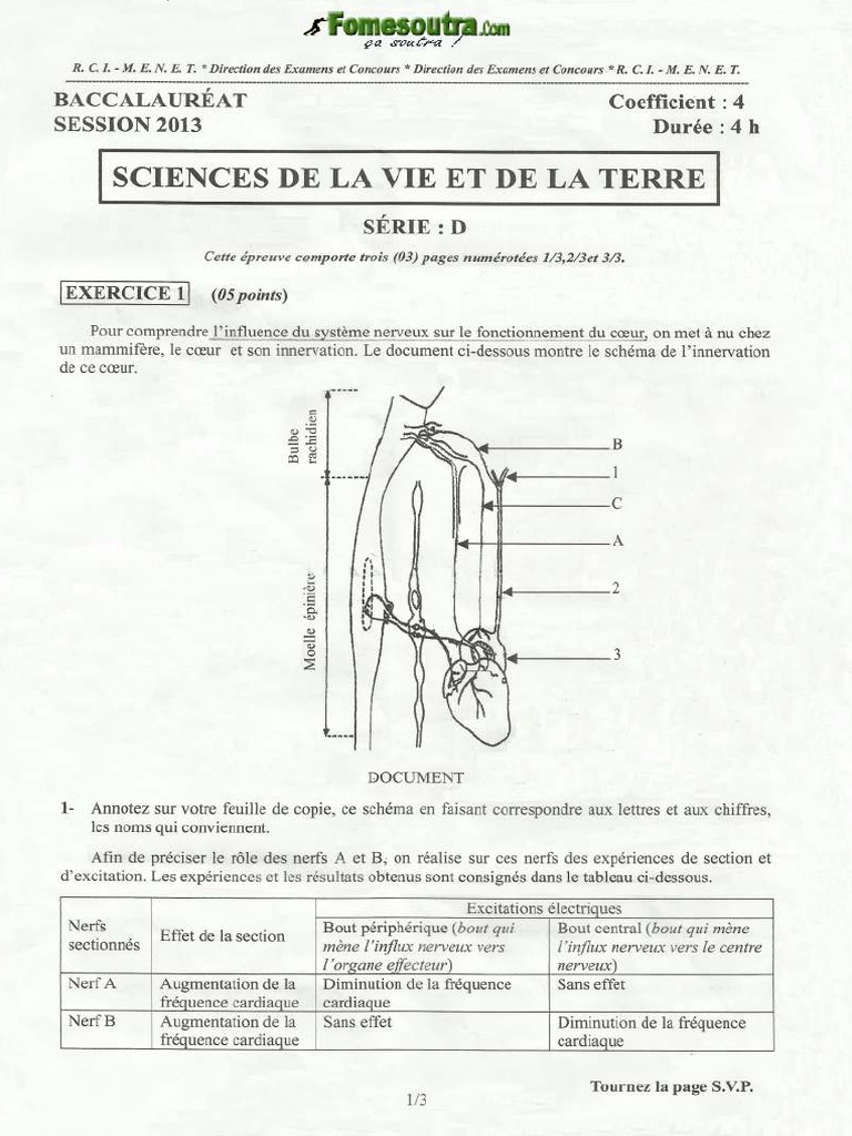 Sujets 2013 SVT Bac D | PDF