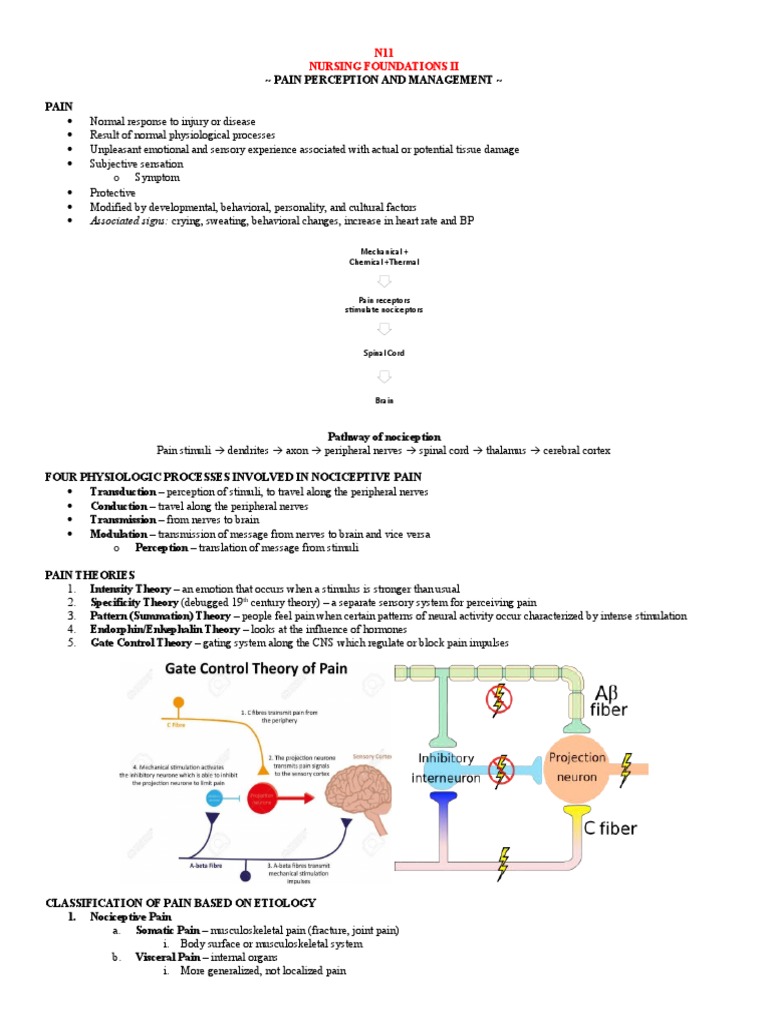 Understanding Pain: Nociception Stages | PDF | Pain | Stimulus (Physiology)