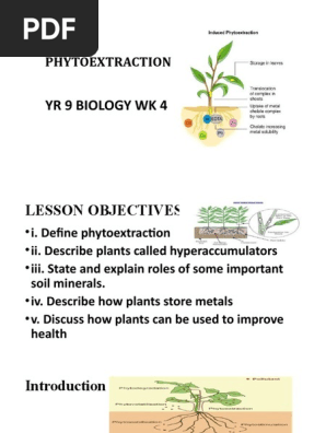 Phytoextraction