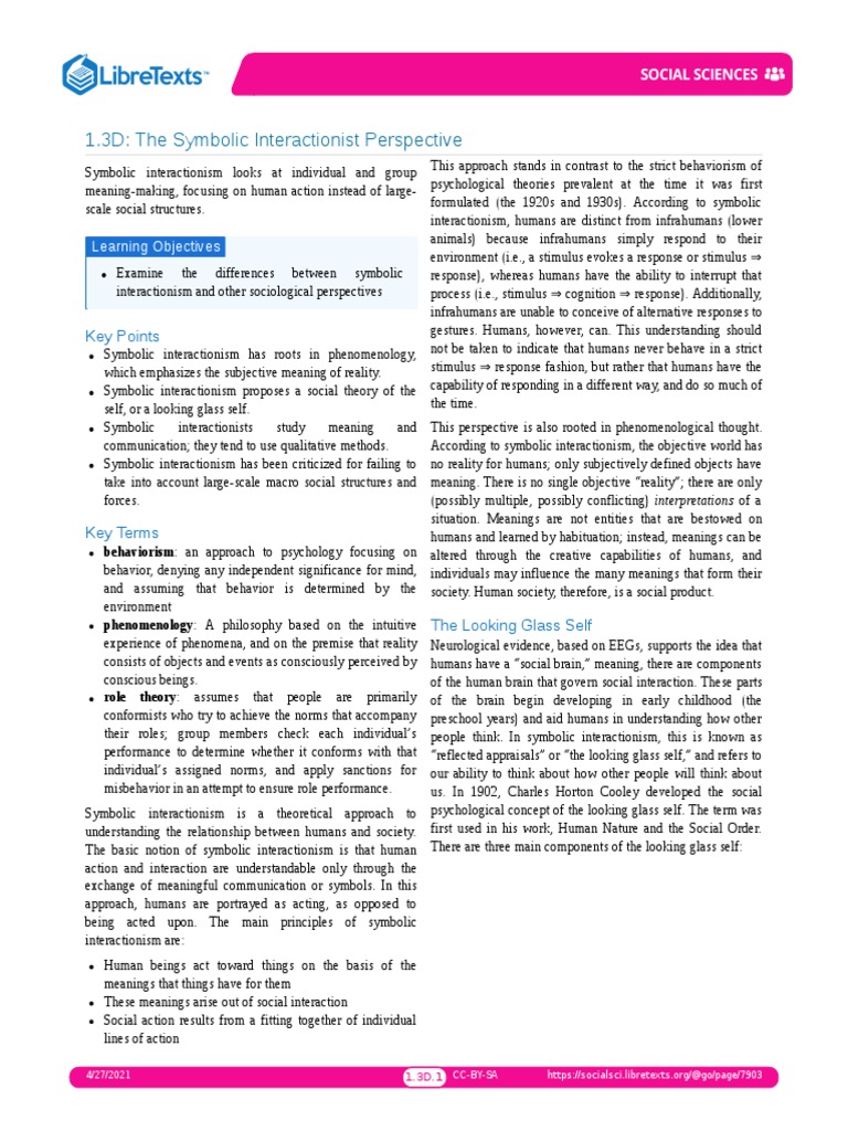 Symbolic Interactionism Explained | PDF | Behavioural Sciences | Cognition