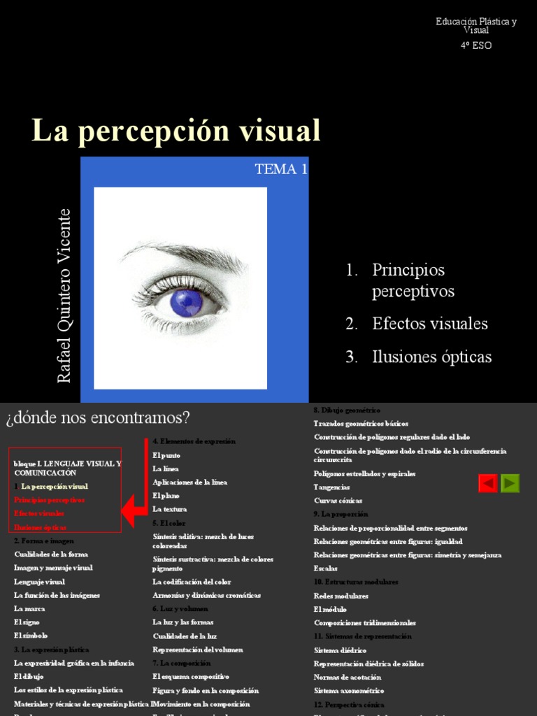 La Percepcion Visual-Tema1 | PDF | Percepción | Percepción visual