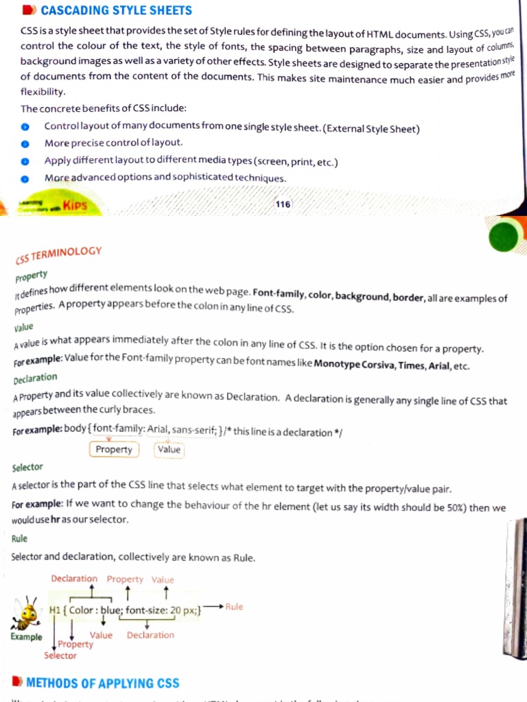 CSS Introduction | PDF | Html Element | Html