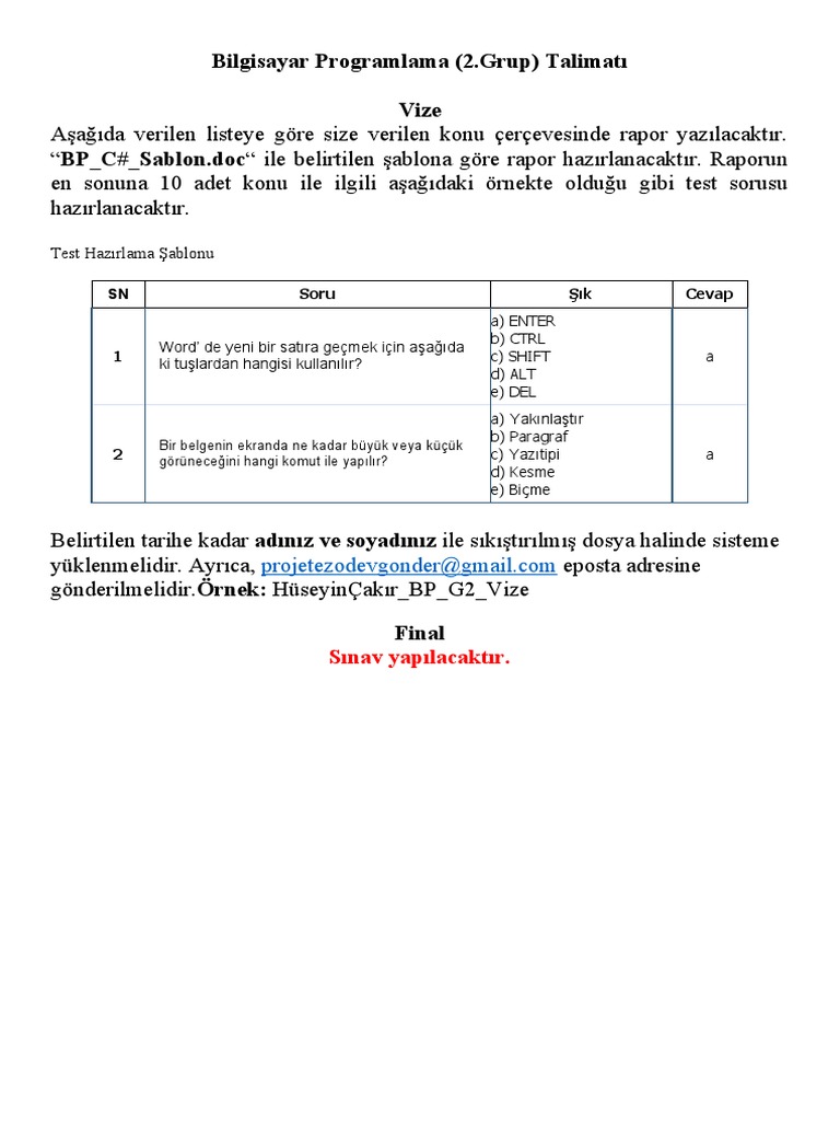 Bilgisayar Programlama 2grup - Talimati | PDF