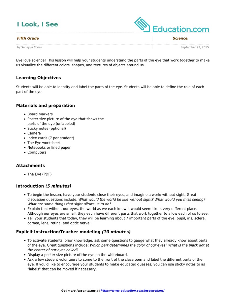 I Look, I See: Learning Objectives | Download Free PDF | Eye | Visual ...