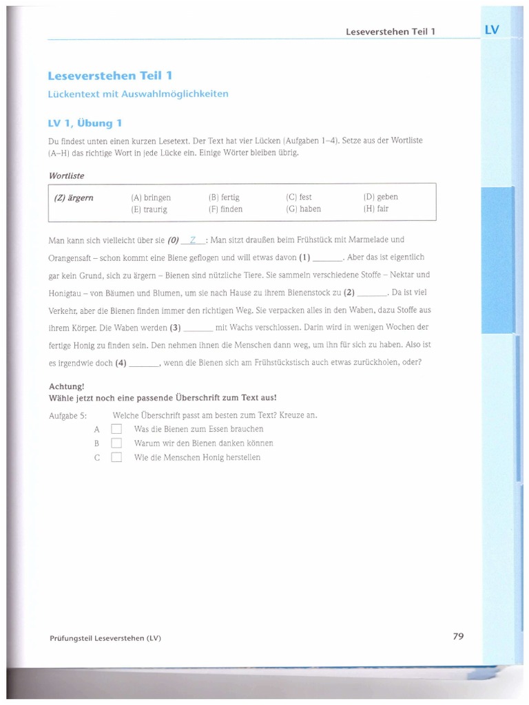 Fit Für Das DSD I LV t1 | PDF