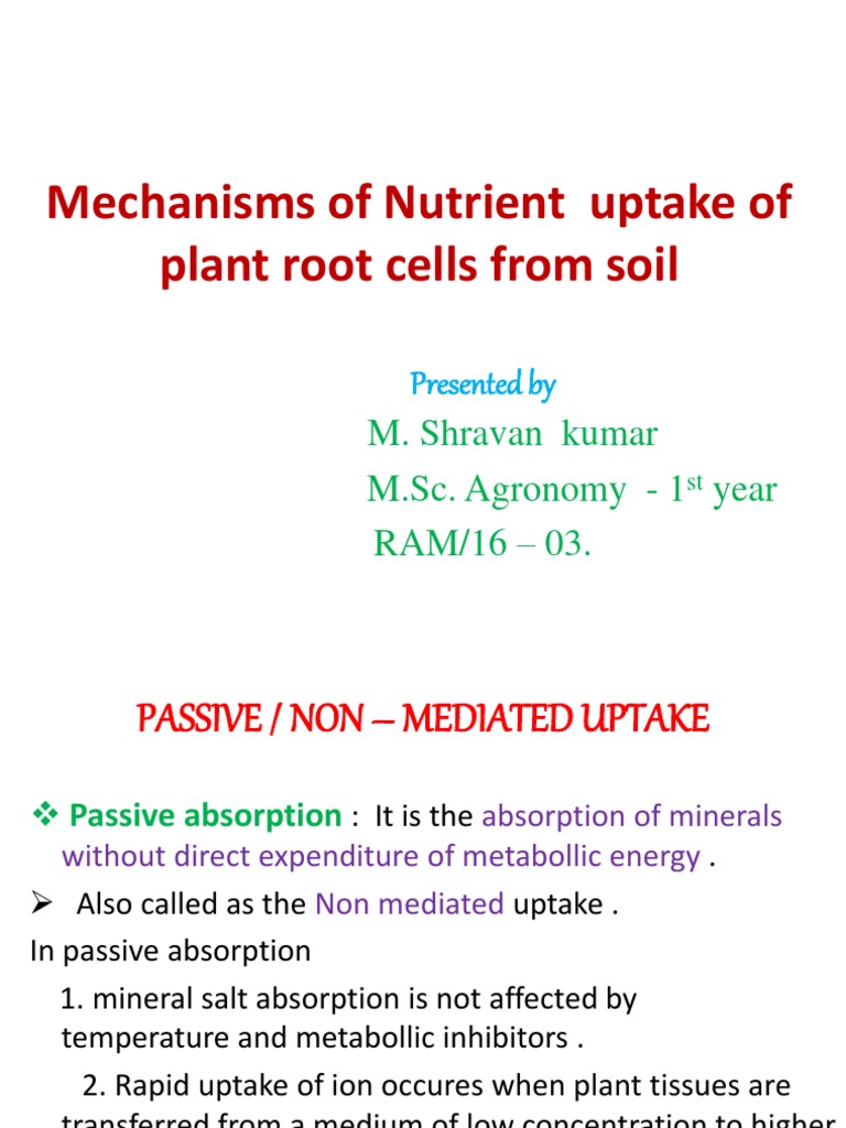 Mechanisms of Nutrient Uptake of Plant Root Cells From Soil | PDF ...