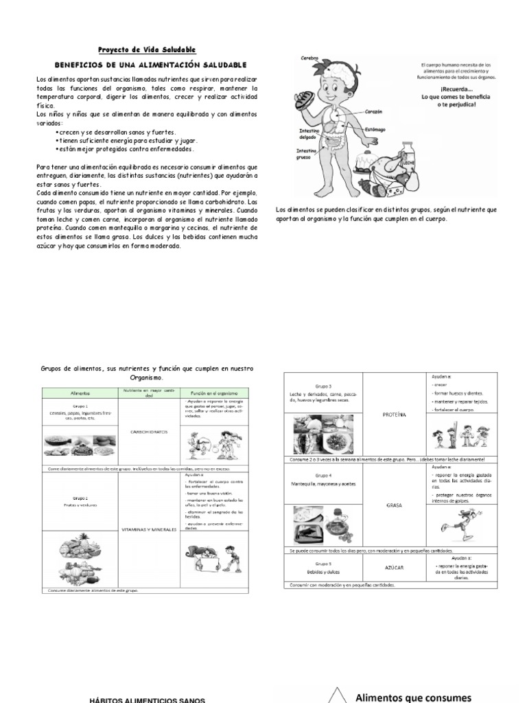 Alimentación Saludable para Niños | PDF | Nutrientes | Alimentos