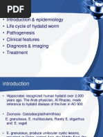 Classification of Hydatid Cysts According To Gharbi and The World ...