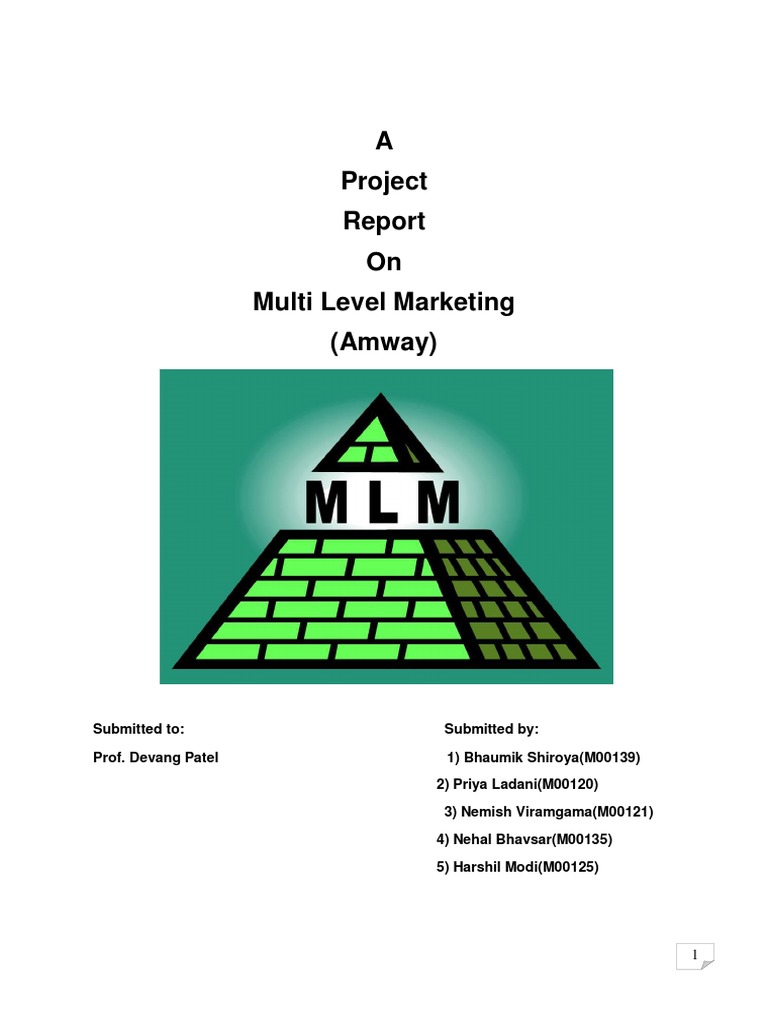 A Project On Multi Level Marketing (Amway) | PDF | Multi Level ...