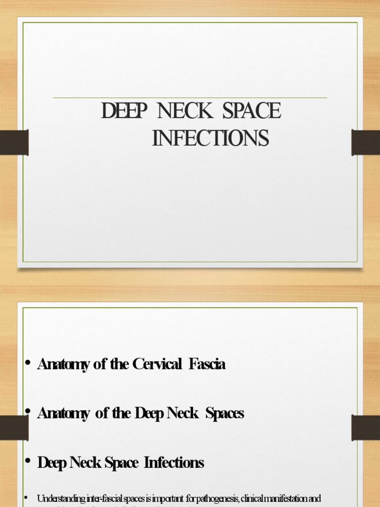 Deep Neck Space Infections | PDF | Neck | Common Carotid Artery