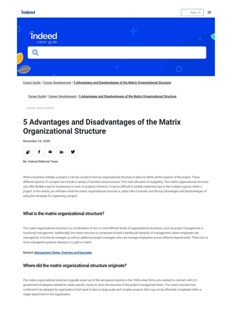 5 Advantages and Disadvantages of The Matrix Organizational Structure ...