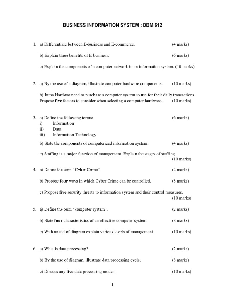 Business Information System: DBM 612 | PDF