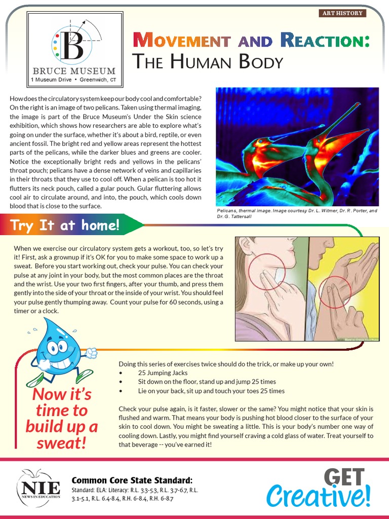 NIE Art History April 2020 Preliminary | PDF | Circulatory System ...
