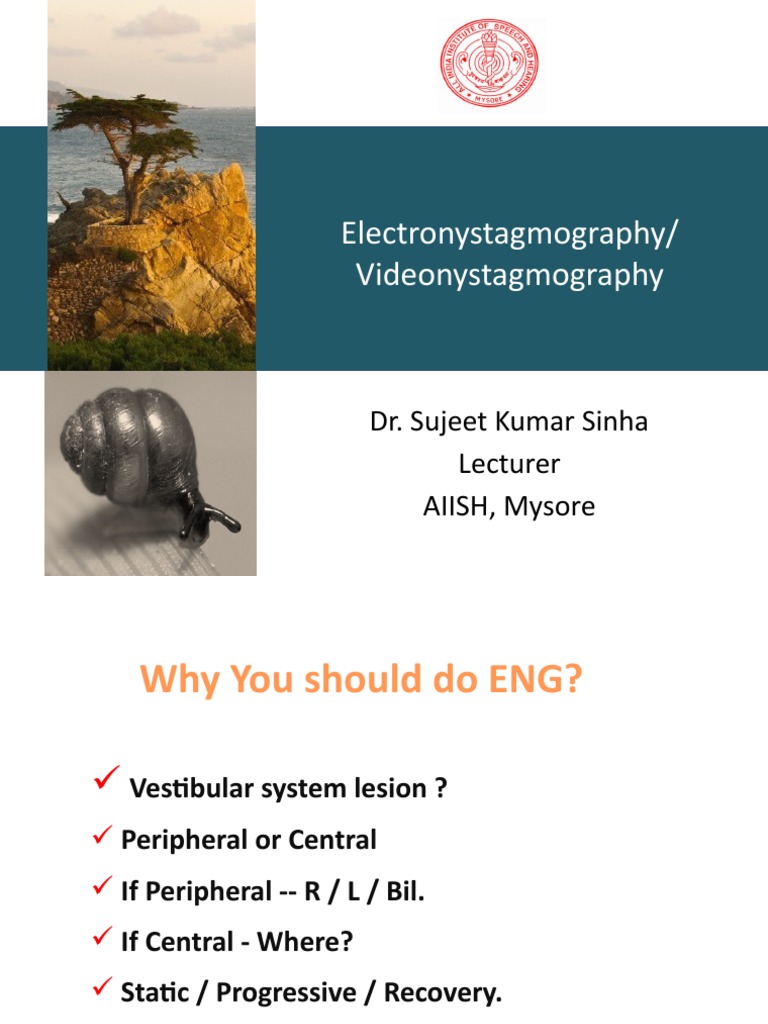 Overview and Assessment of Balance Functions: Electronystagmography ...