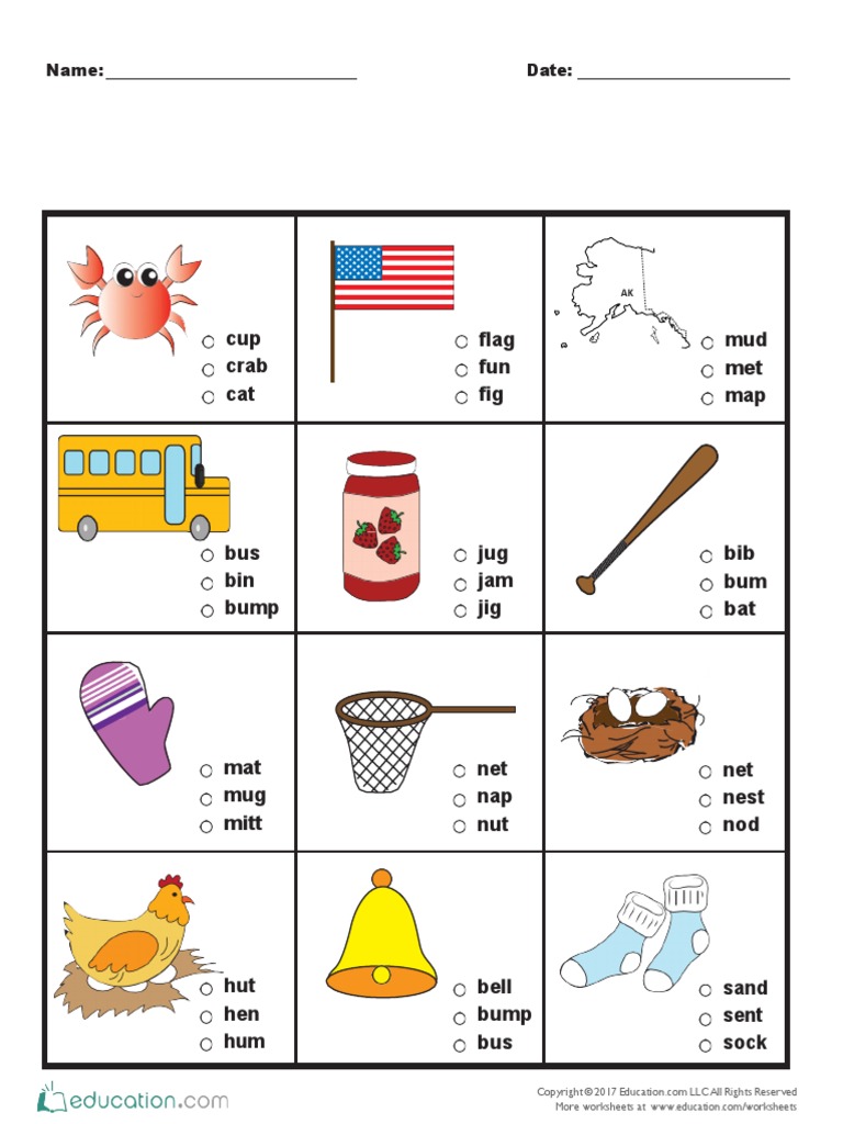 First Grade Workbook | PDF | Shape | Cats