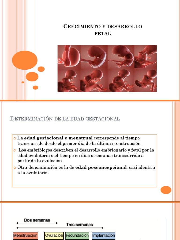 4.crecimiento y Desarrollo Fetal | PDF | Placenta | Feto