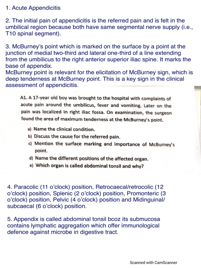 McBurney's Point in Acute Appendicitis | PDF | Anatomy | Abdomen