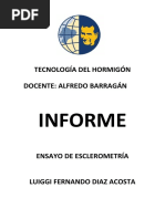 Informe Esclerometro | PDF