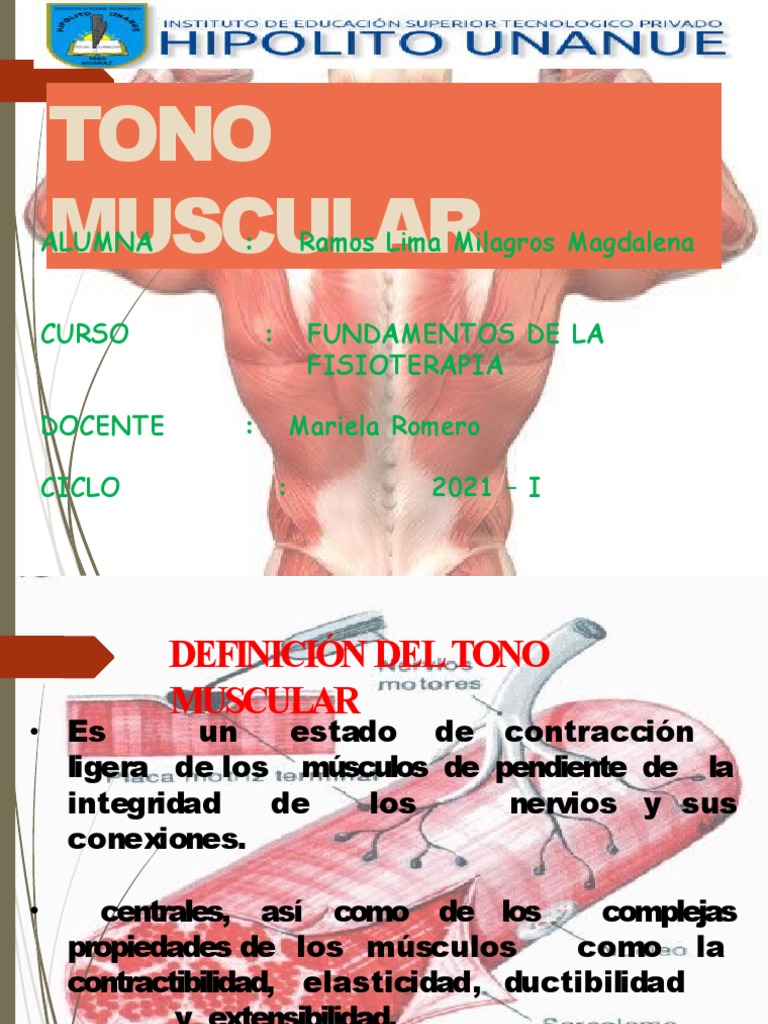Trabajo de Tono Muscular | PDF | Músculo | Pie