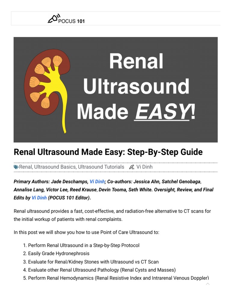 Step-by-Step Renal Ultrasound Guide | PDF | Kidney | Medical Ultrasound