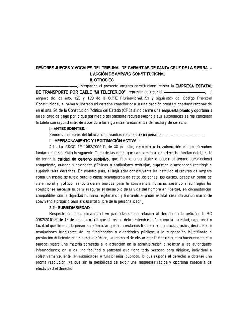 Modelo de Accion de Amparo Constitucional-1 | PDF | Derecho ...