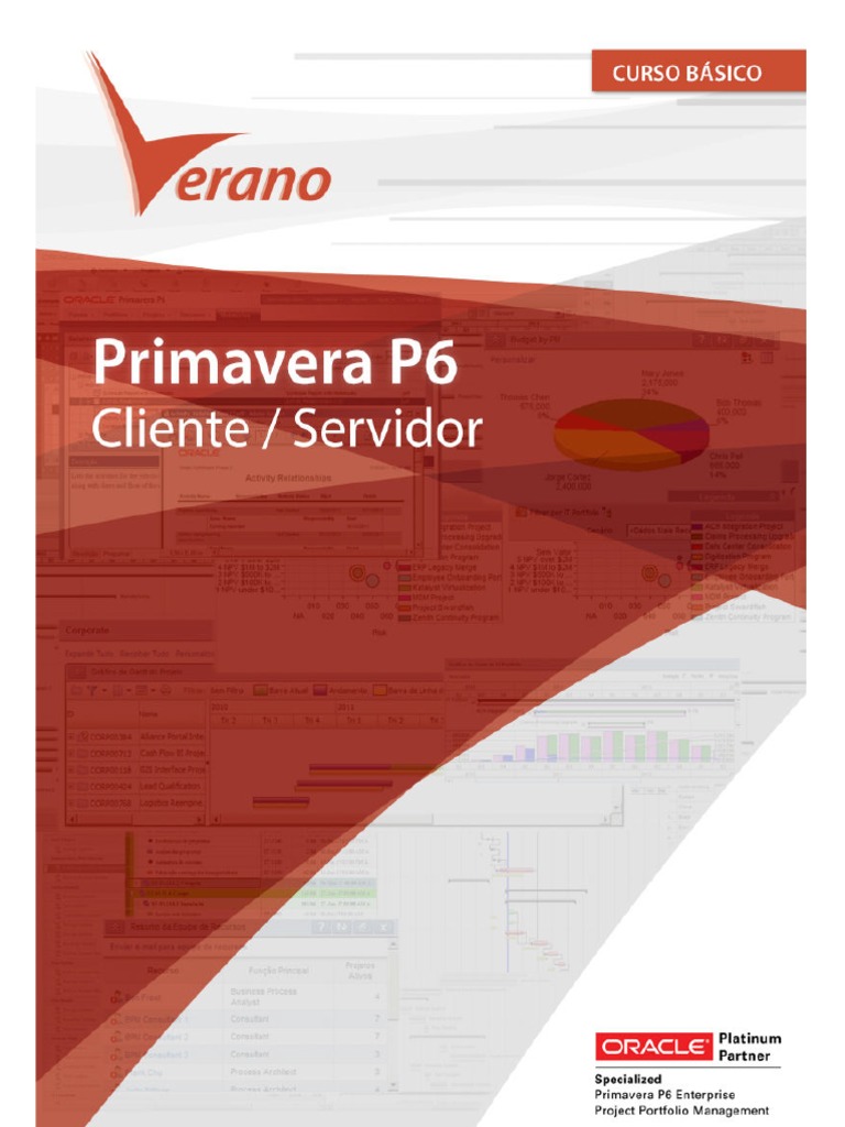 Primavera P6 EPPM R16 Basico Cliente-Servidor Portugues V2 | PDF | Janela (informática ...