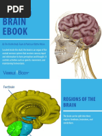 Neurotransmitters and Its Food Sources | PDF | Pickling | Norepinephrine