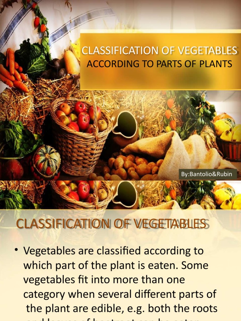 Classifications of Vegetables | PDF