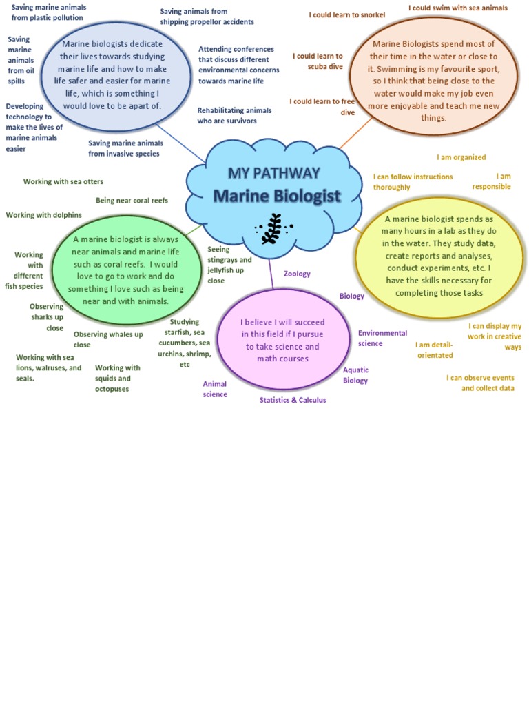 Pathways Assignment 3 | PDF | Marine Biology | Sea