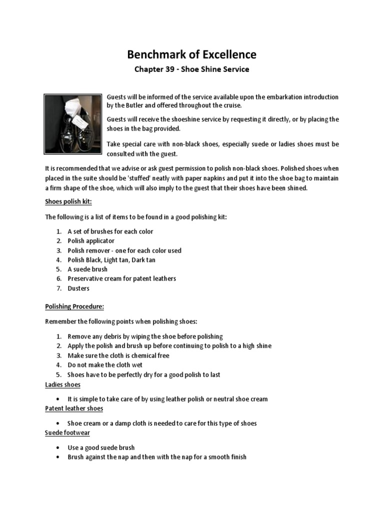 E93gX-Shoe Shine Service Procedure - Butler | PDF