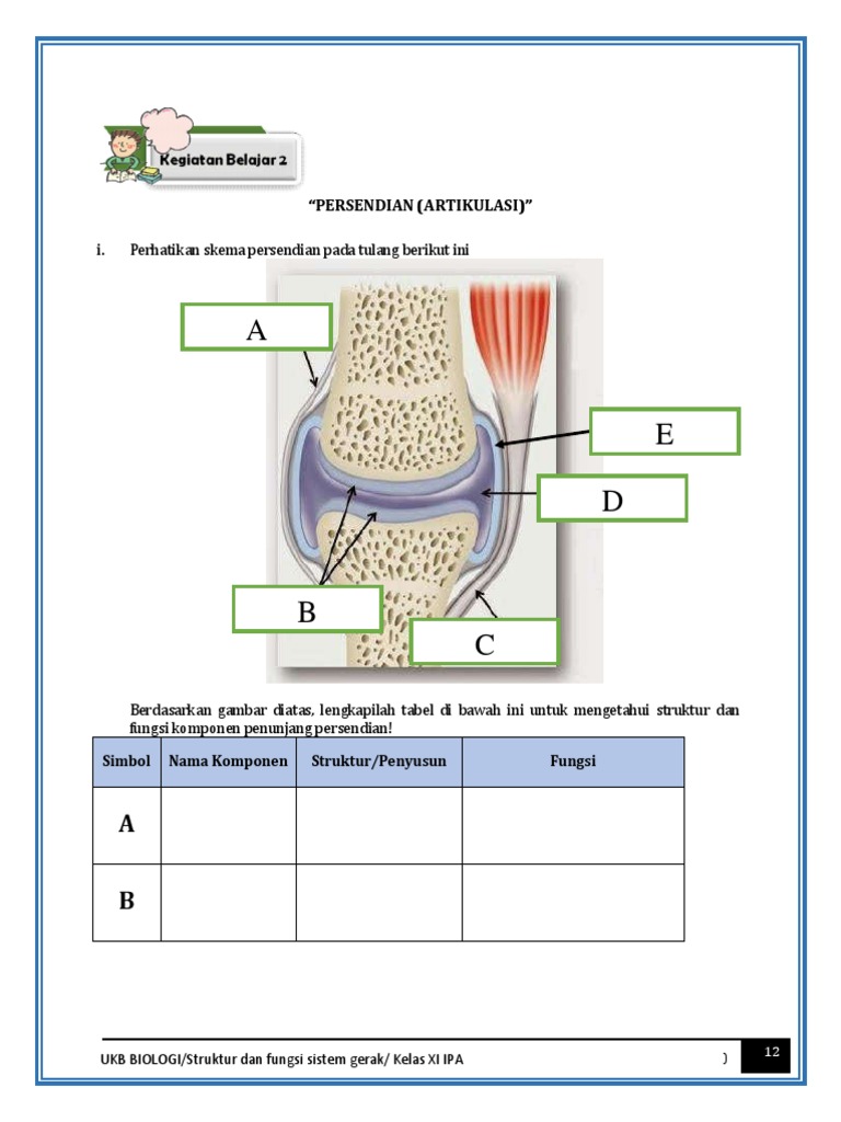 CONTOH UKBM SISTEM GERAK - Sendi | PDF