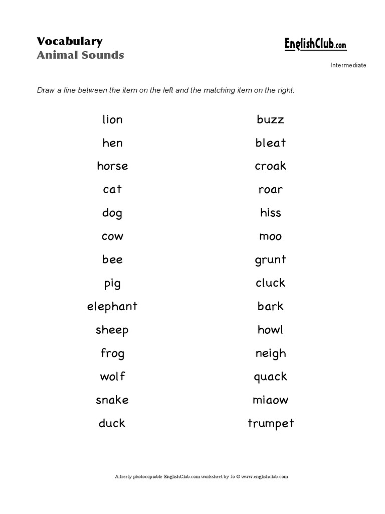 EC - Vocabulary Animal Sounds I - With KEY | PDF | Zoology | Mammals