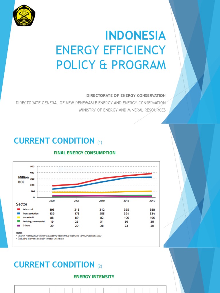 Energy Efficiency Policy & Program: Indonesia | PDF | Efficient Energy Use | Energy Conservation