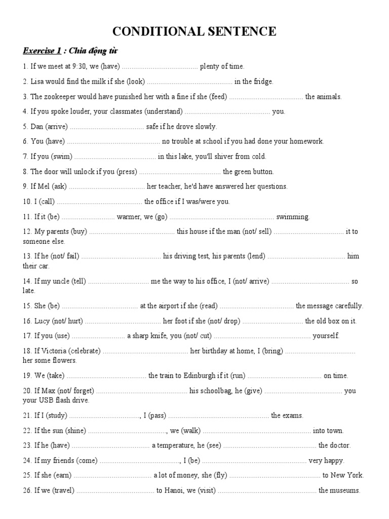 Conditional Sentence: Exercise 1: Chia Đ NG T | PDF