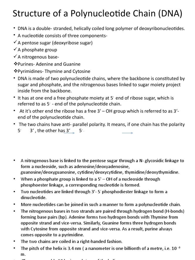Molecular Basis of Inheritance | PDF | Nucleotides | Dna